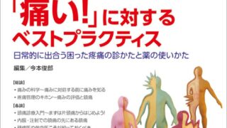 WAB 失語症検査 （Western Aphasia Battery）